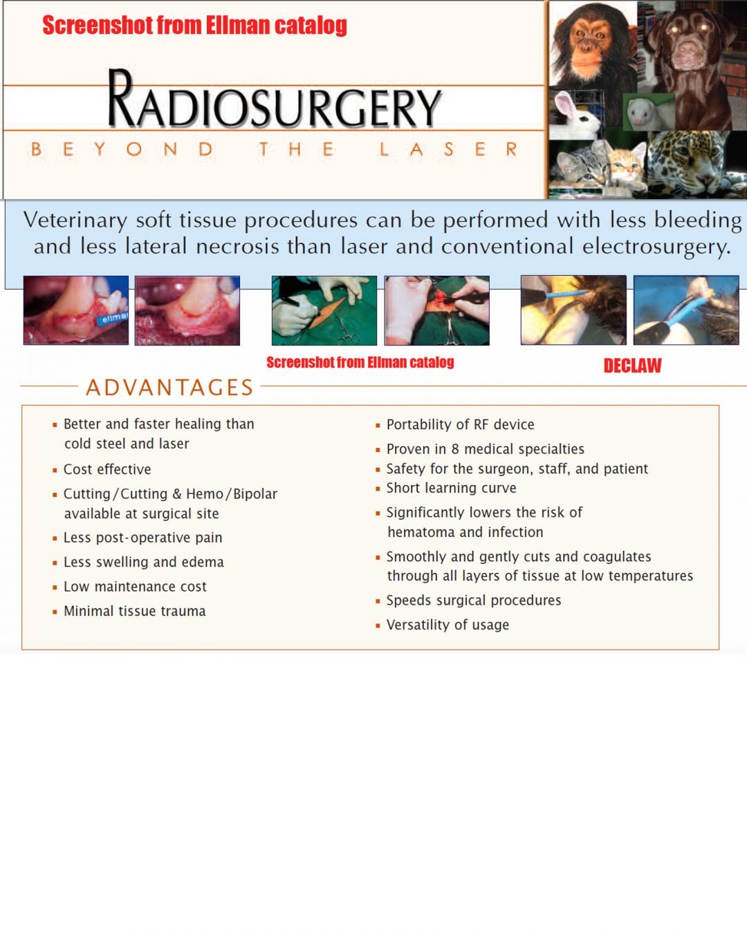 Touting A New Way To Use This Radio Surgery Tool To Declaw Cats - City ...