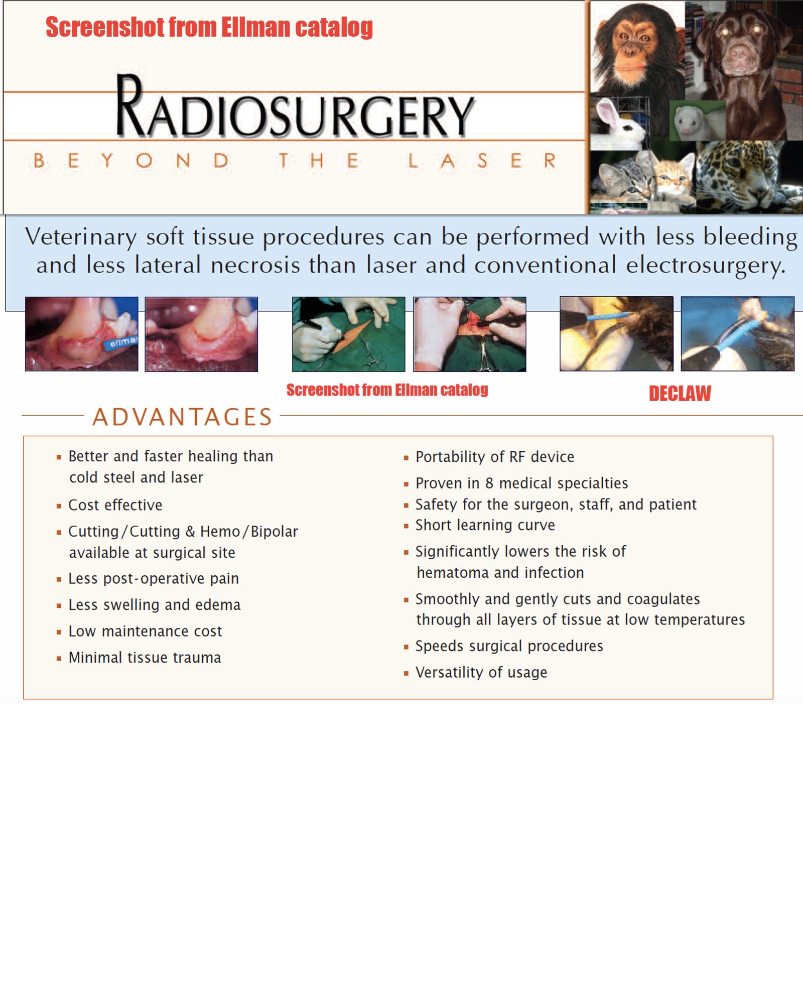 Touting A New Way To Use This Radio Surgery Tool To Declaw Cats - City ...