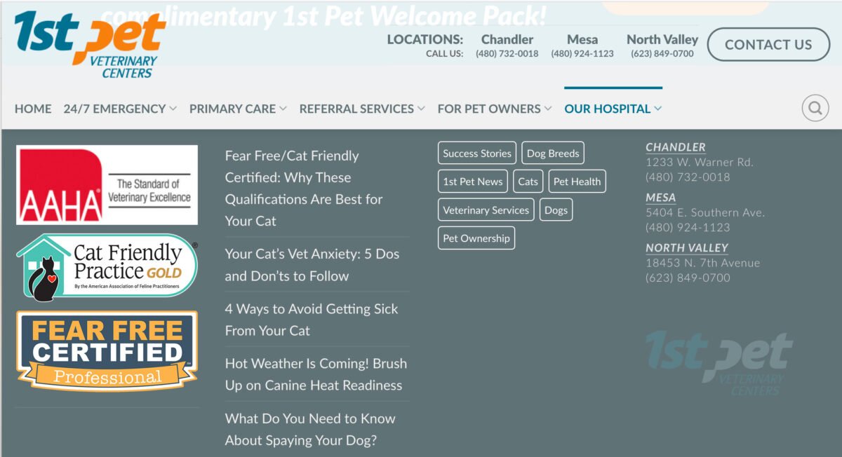 AAHA 1st Pet - City the Kitty - Official