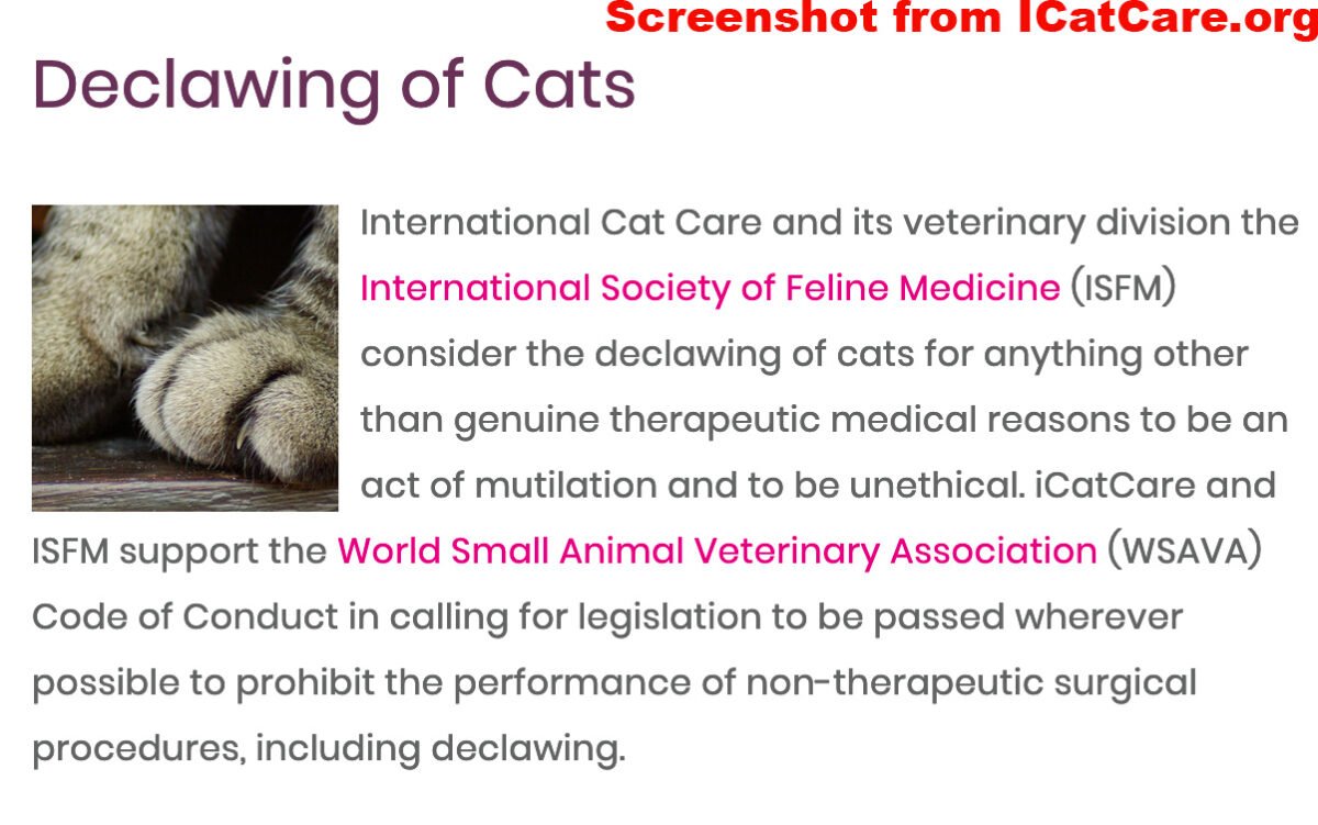 International Cat Care Licenses Their CAT FRIENDLY Program To An ...